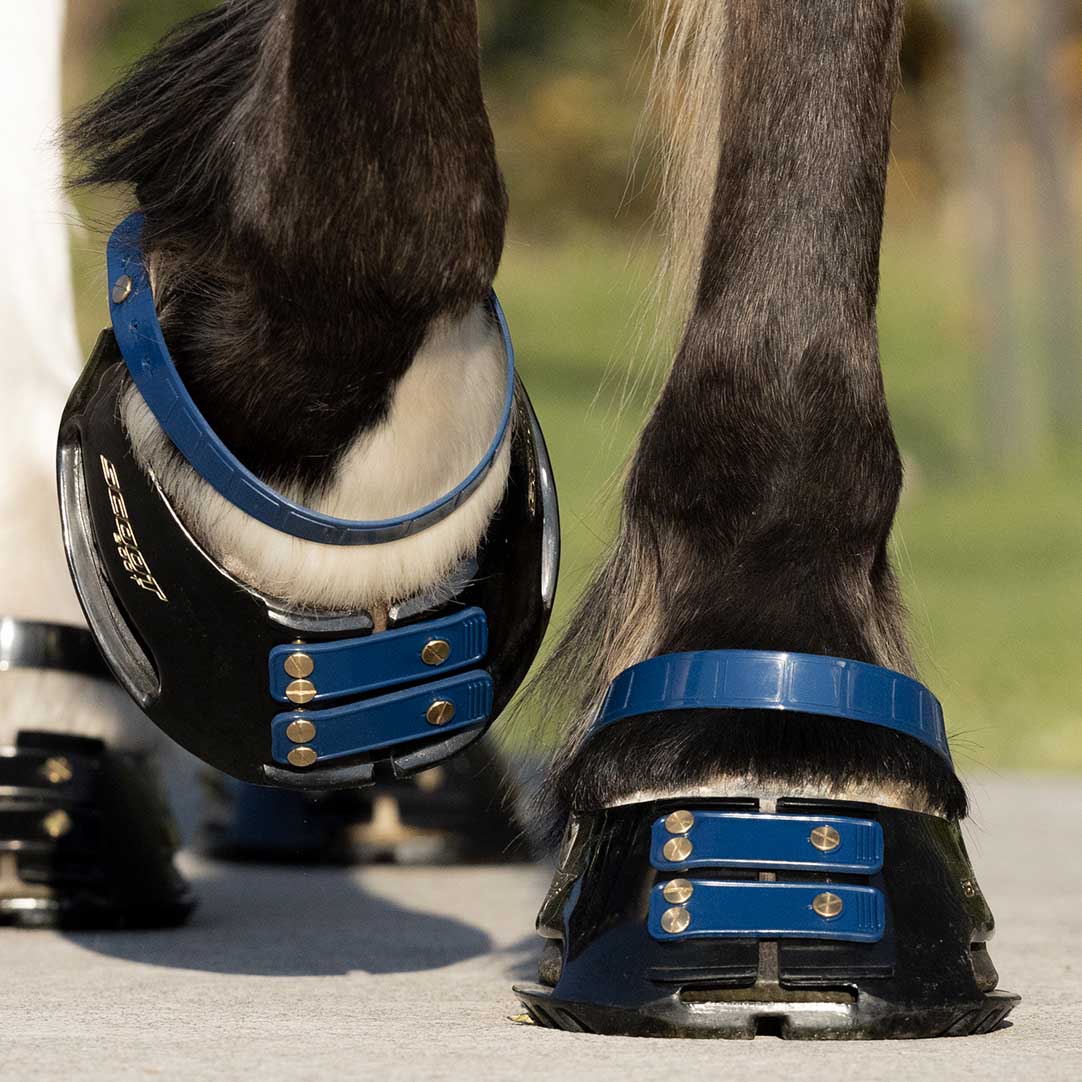 Pastern Strap 4 st - Scootboots.se
